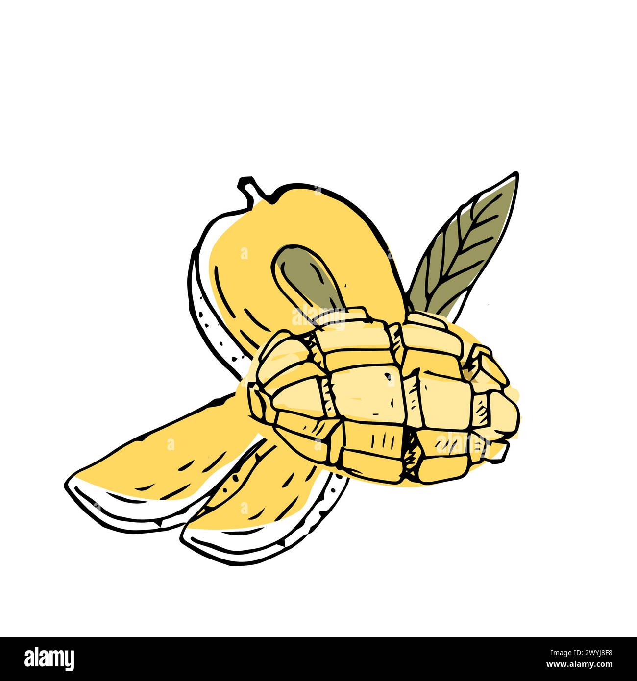 Mango sliced and half fruit ink sketch illustration. Vector ...