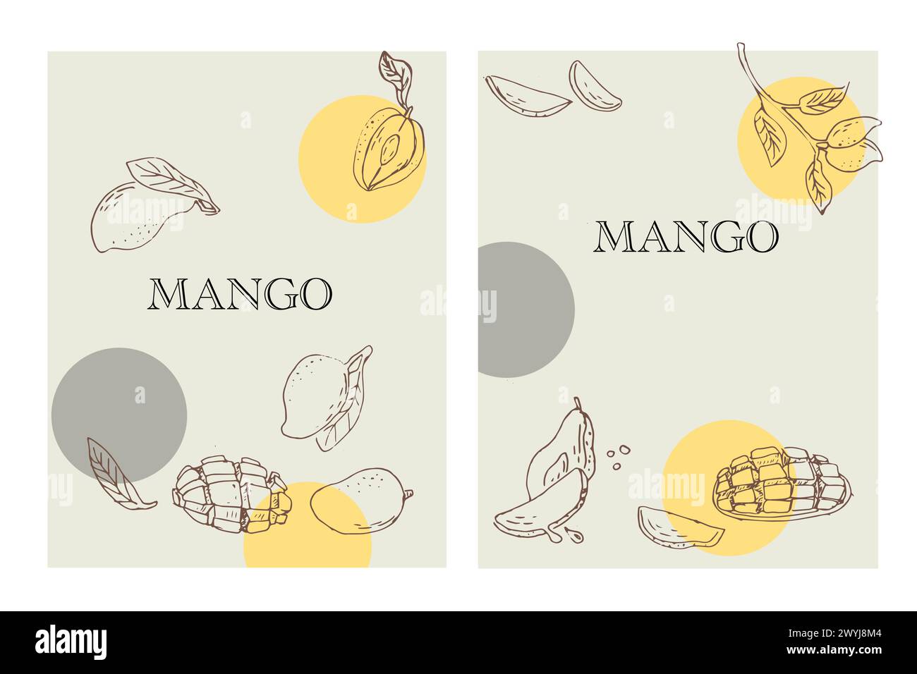 Sketch mango fruit with round shape label for wrapping. Vector ...