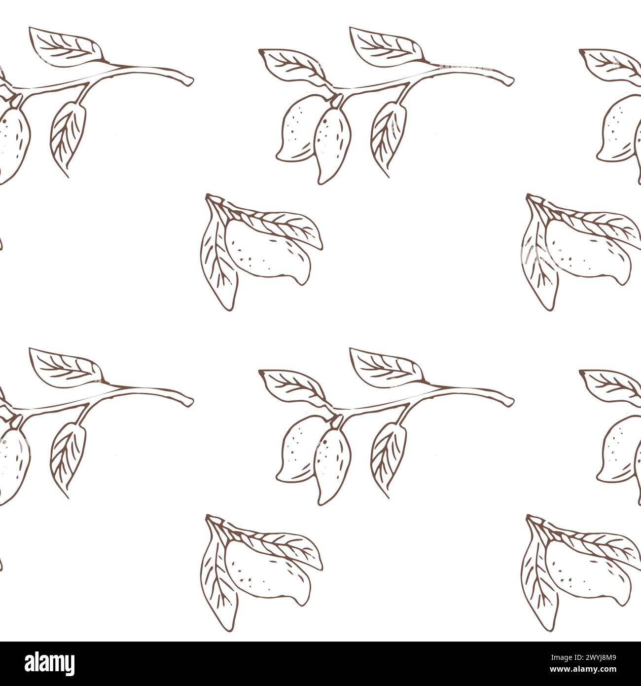 Seamless pattern with mango, tropical fruit background. Vector ...