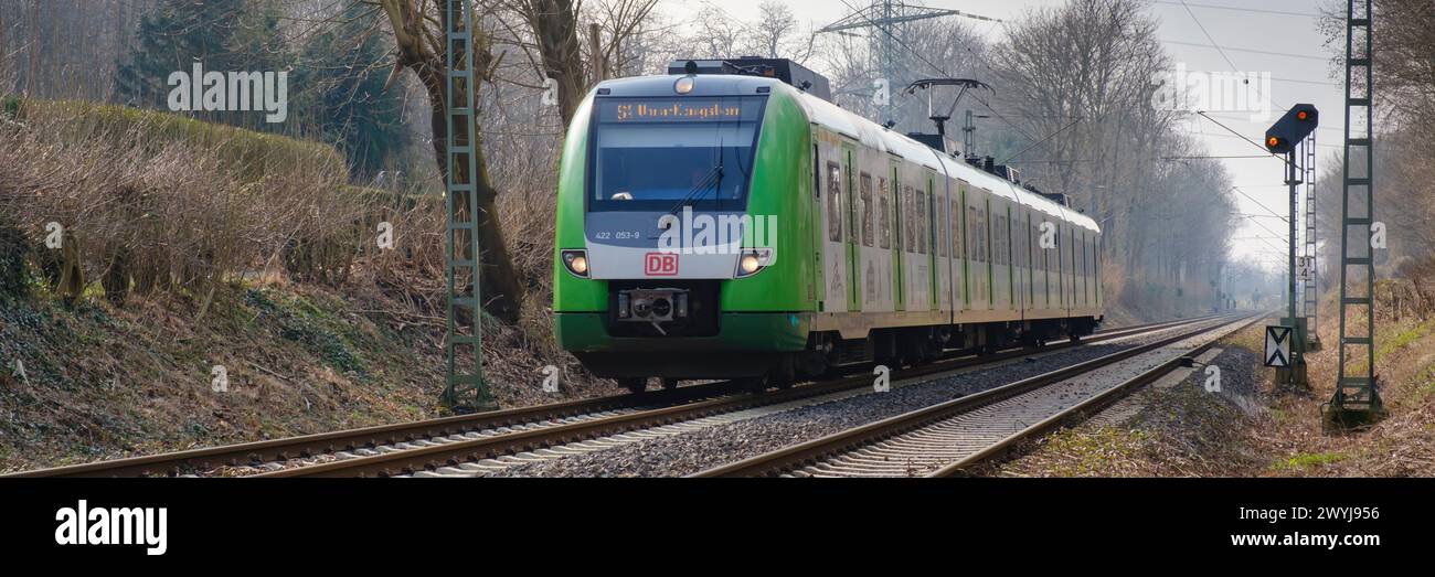 Local traffic trainon the railway line Stock Photo - Alamy