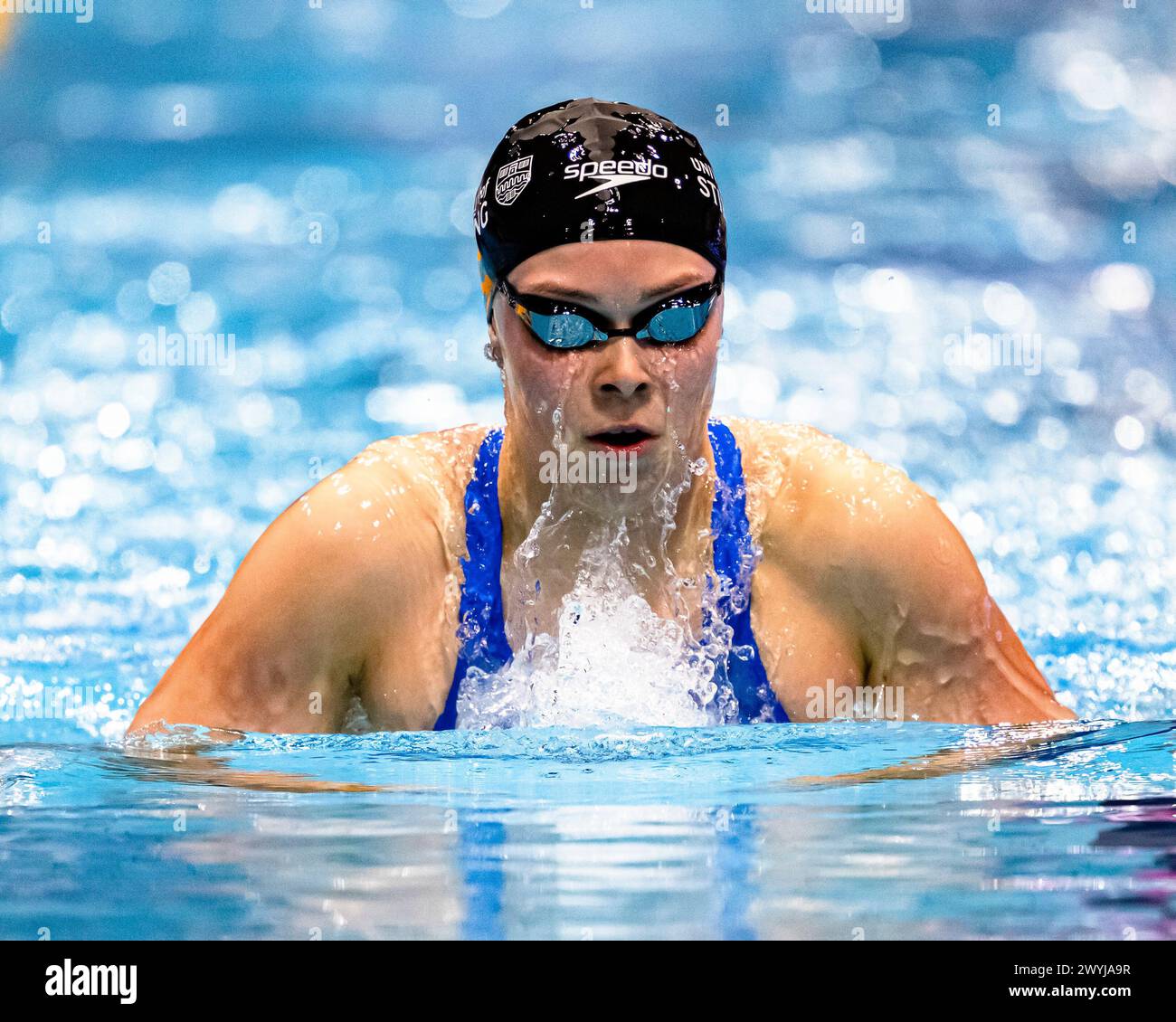 World aquatics championships 2024 hi-res stock photography and images ...