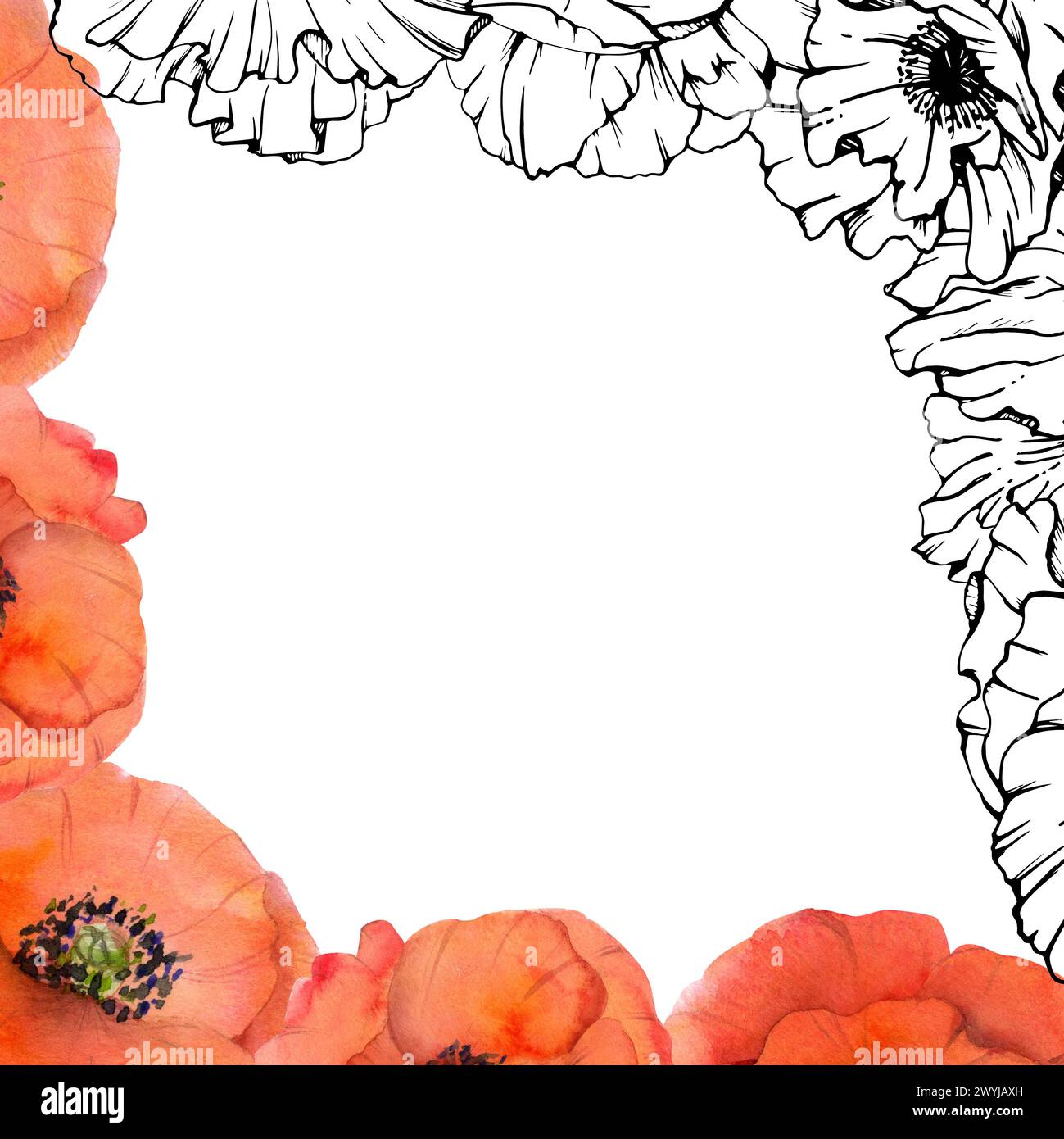 Hand drawn watercolor botanical illustration flowers leaves. Red poppy ...