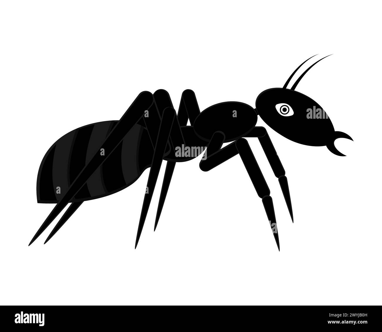 Black ant. Vector silhouette on white background. Side view Stock ...