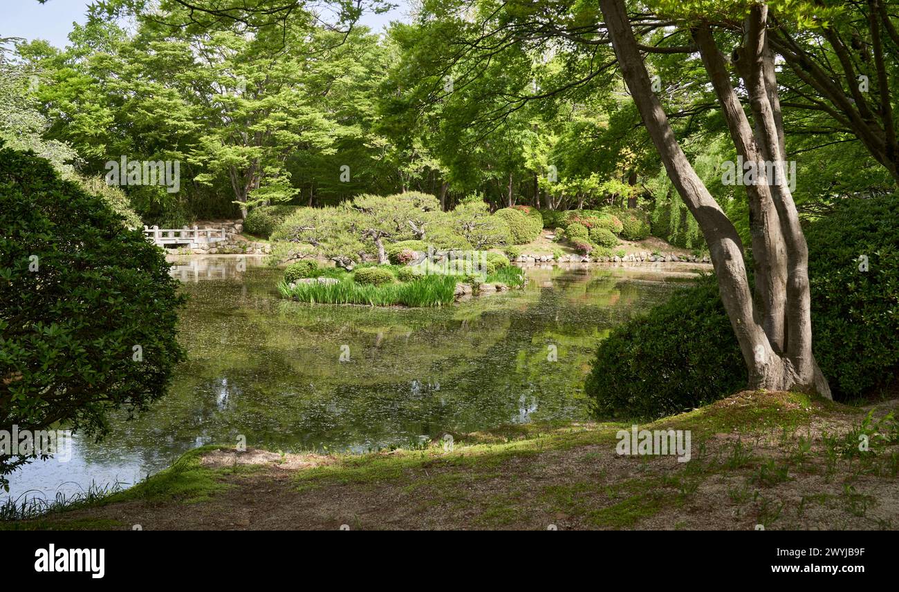 A small lake with an island, spring green trees, Bulguksa temple ...
