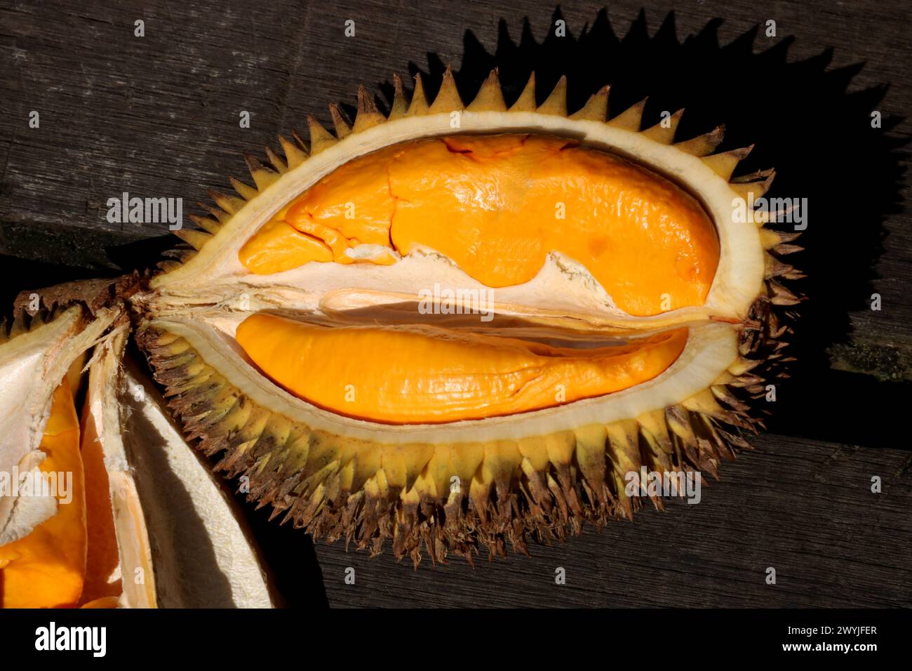 Rind durian hi-res stock photography and images - Alamy