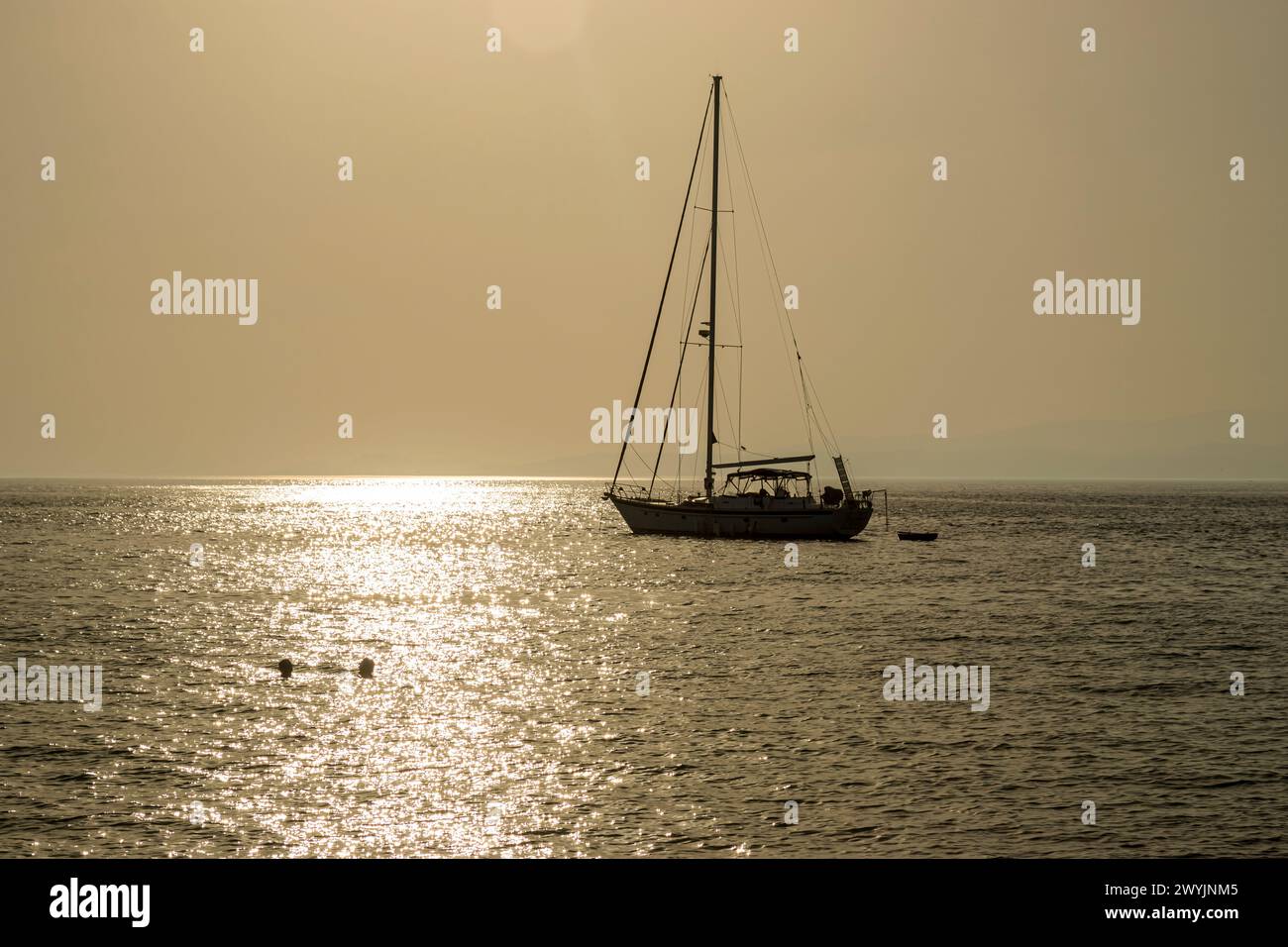 Small boats and yachts at sunset docked on the marina park with ...