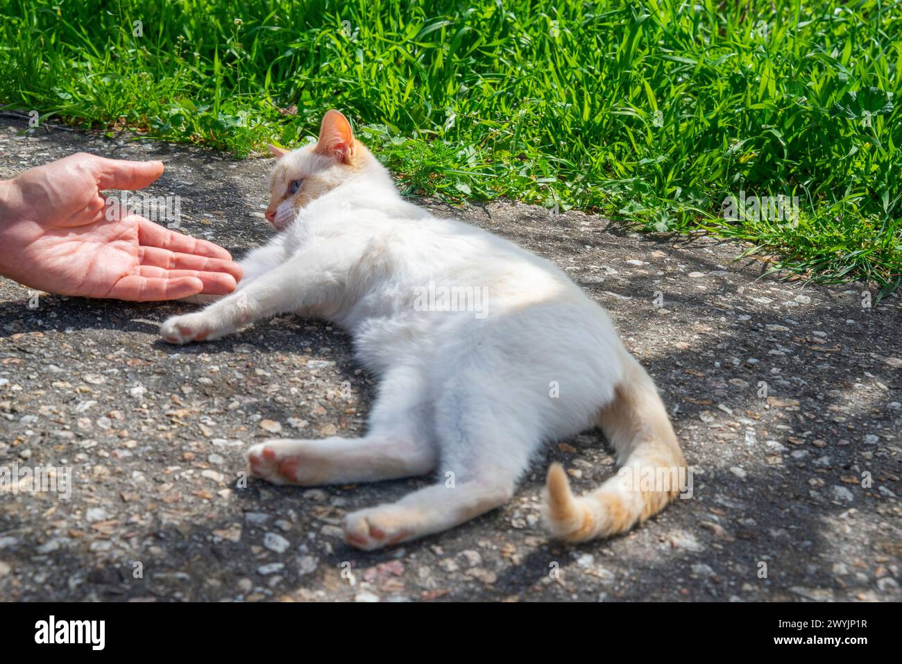Ternura horizontal hi-res stock photography and images - Alamy