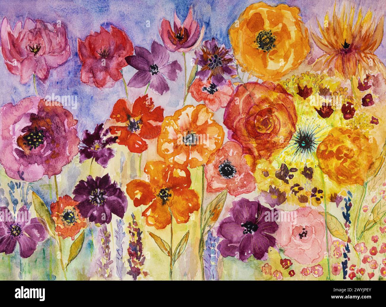 Wild watercolor flowers in a field. The dabbing technique near the ...
