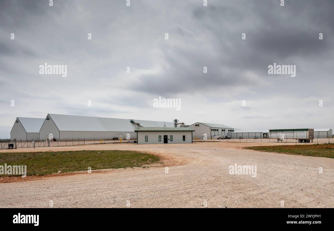 Metal buildings of a peanut processing plant at Seagraves, Texas, USA ...