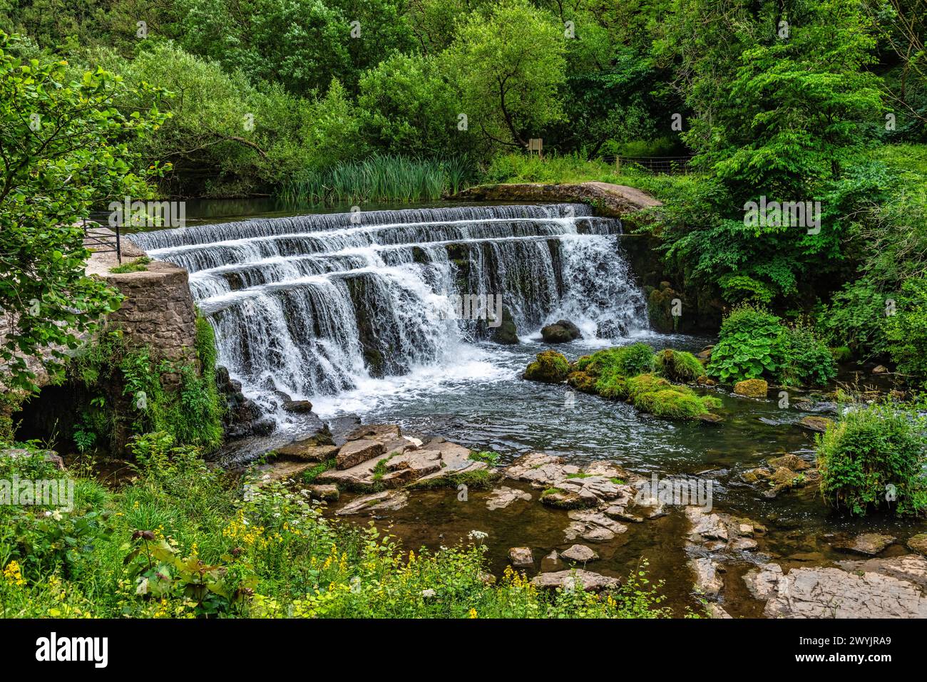Weir on the river Wye in Monsal Dale in the Peak District in Derbyshire ...