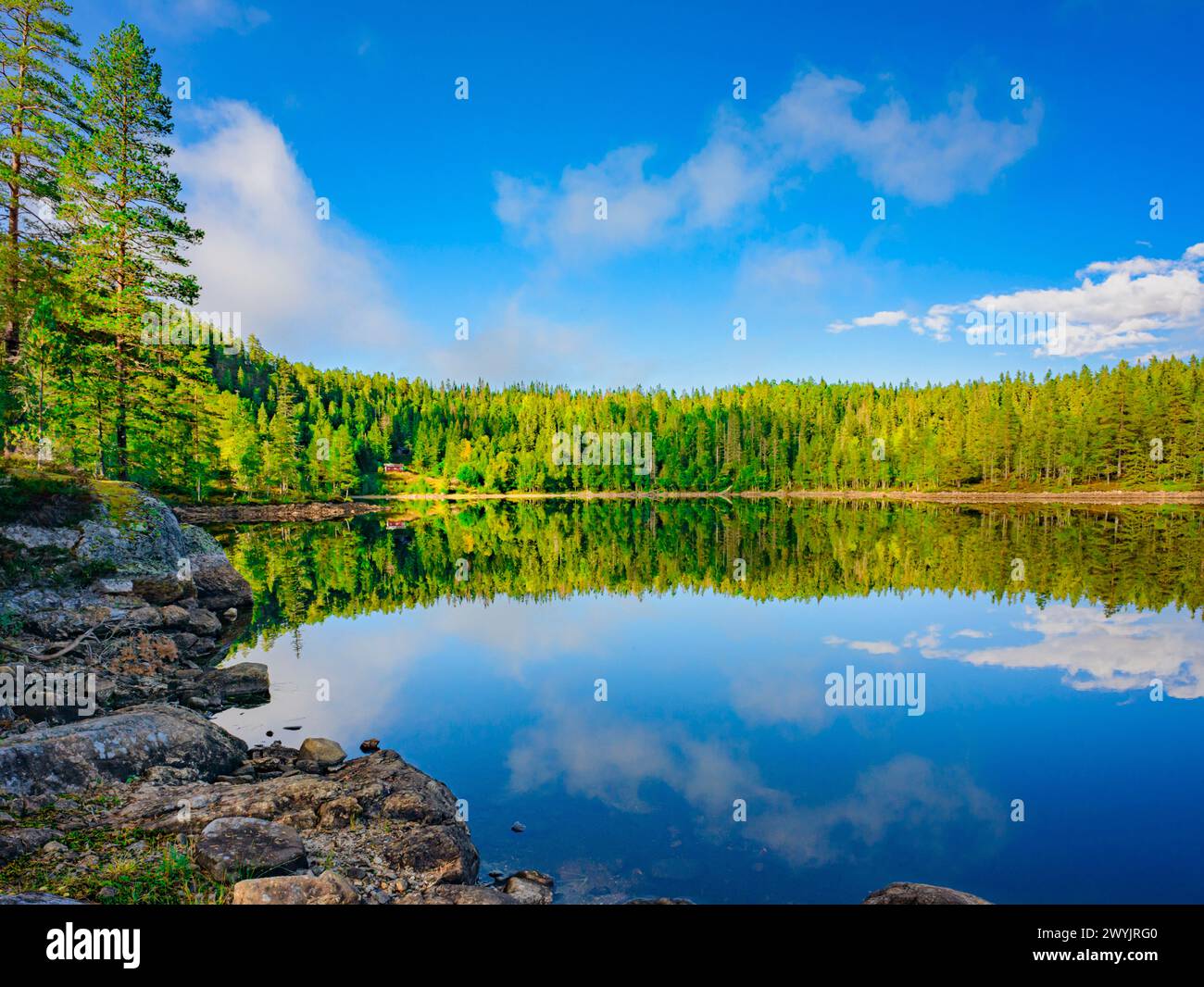 Norway, Buskerud, Noresund, Knipetjennasen Natural Reserve ...