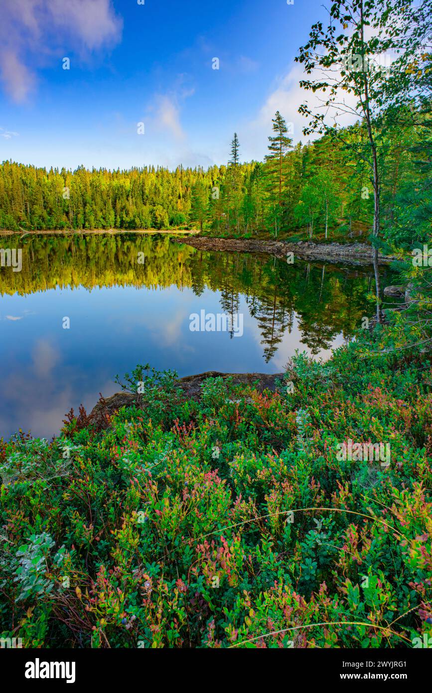 Norway, Buskerud, Noresund, Knipetjennasen Natural Reserve ...