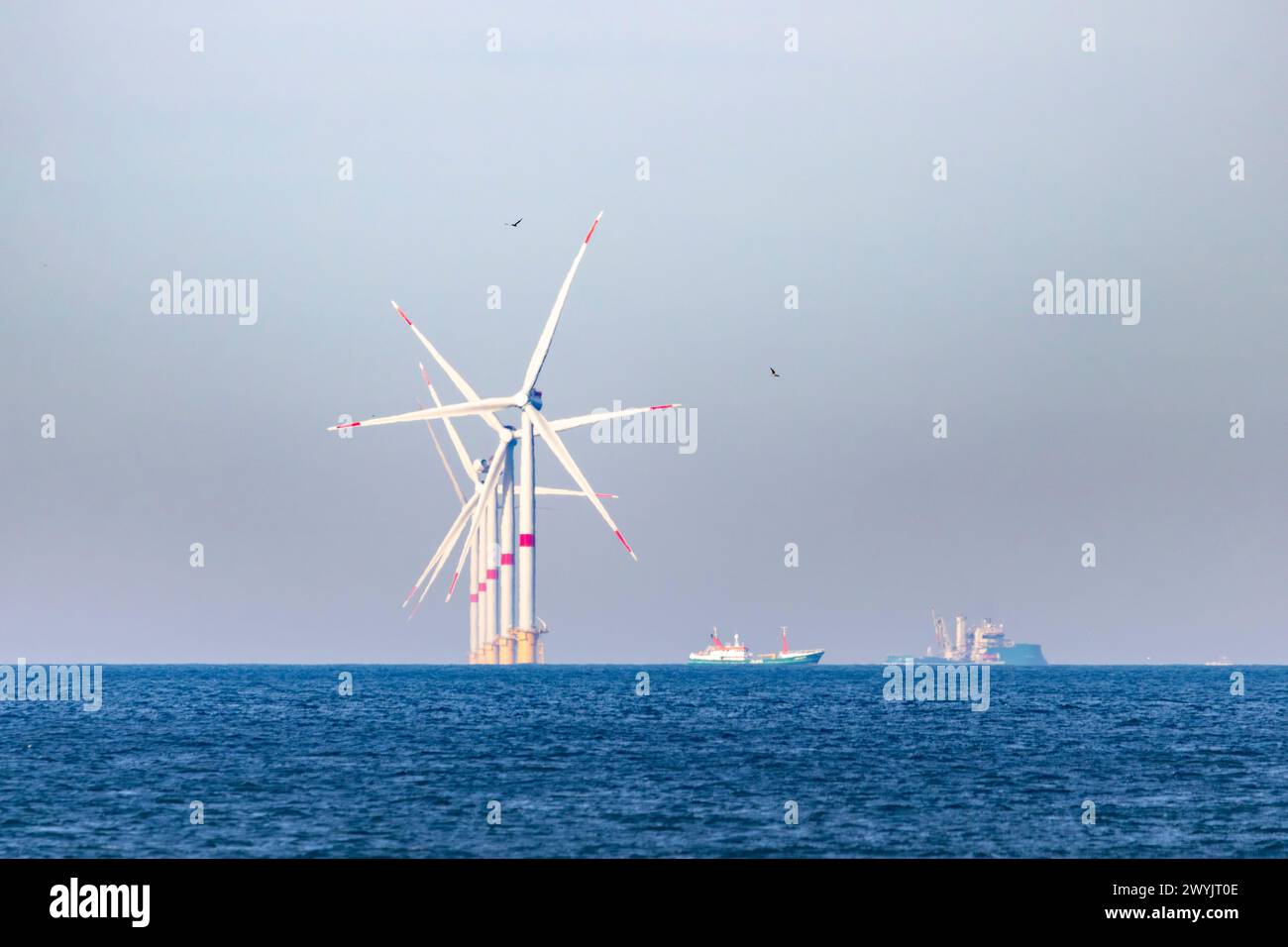 France, Seine Maritime, Pays de Caux, Alabaster coast, Yport, 5 wind ...