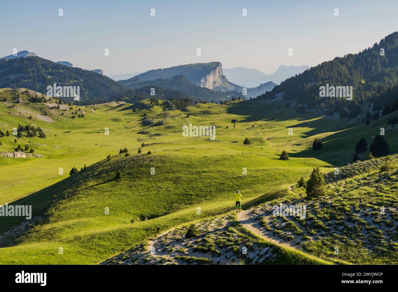 France, Isere, Vercors Regional Nature Park, Hauts Plateaux du Vercors ...