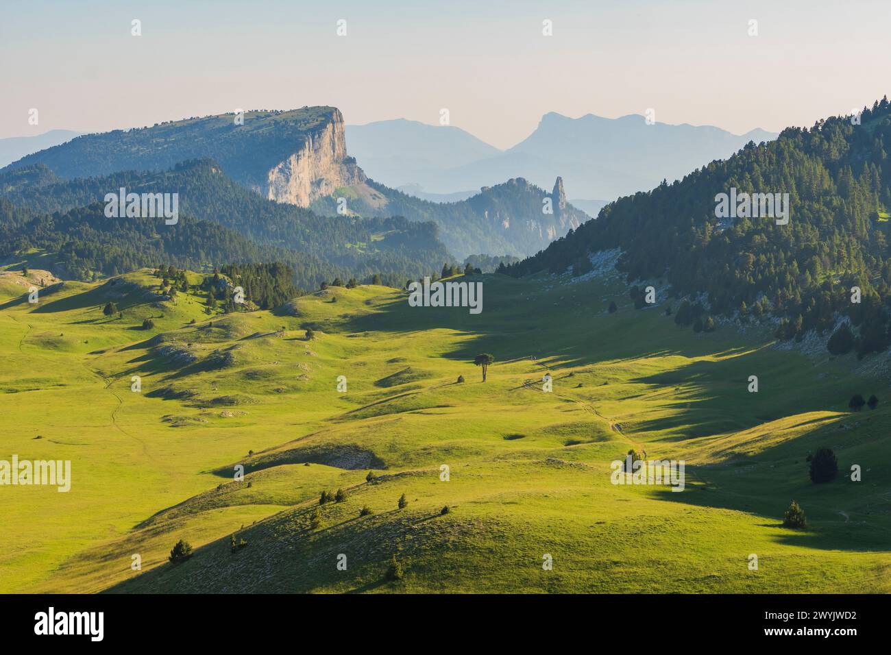 France, Isere, Vercors Regional Nature Park, Hauts Plateaux du Vercors ...