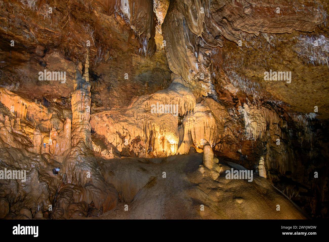 France, Gard, Cevennes National Park, Trabuc Cave aka Thousands ...