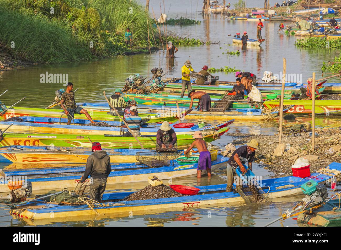 Cambodia, Kampong Chhnang, Kandal fishing hamlet on the banks of the ...