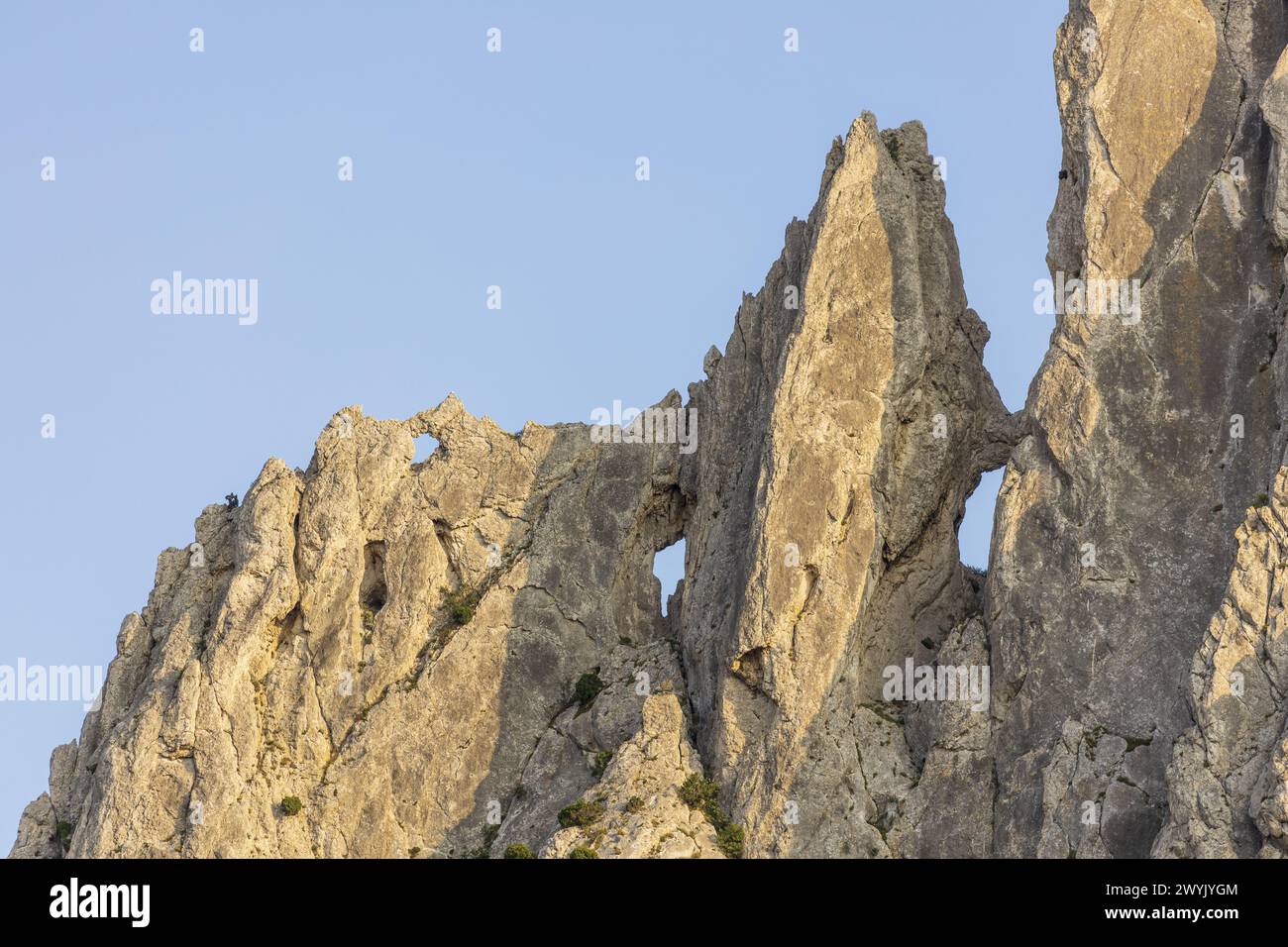 France, Vaucluse, Gigondas, the Dentelles de Montmirail, northern slope ...