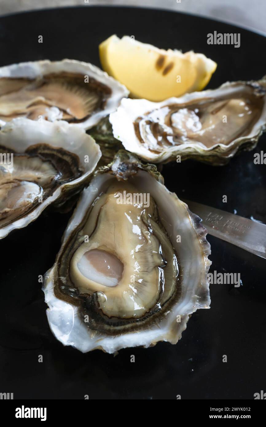 France, Gironde, Bassin d'Arcachon, oyster farming, Legeron oysters ...