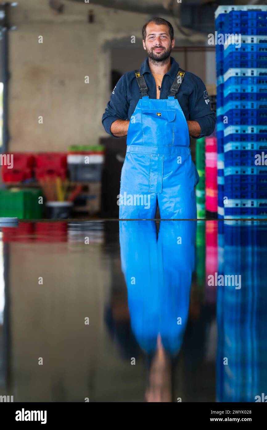 France, Gironde, Bassin d'Arcachon, oyster farming, Legeron oysters ...