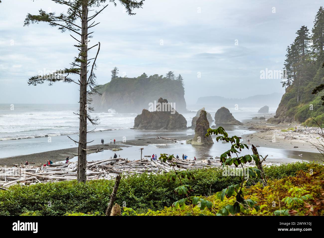 Visitors walk amoung the driftwood, tide pools and seastacks at Ruby ...