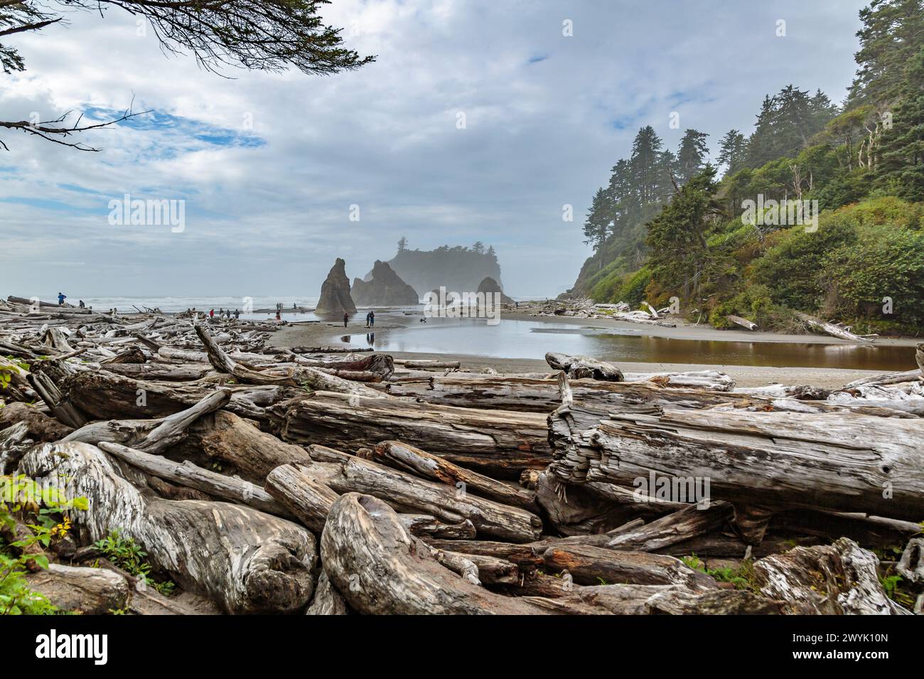 Visitors walk amoung the driftwood, tide pools and seastacks at Ruby ...