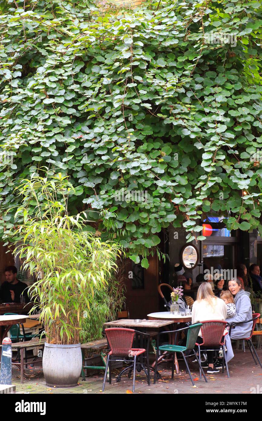 Belgium, Flanders, Antwerp, Kloosterstraat, café terrace Stock Photo ...