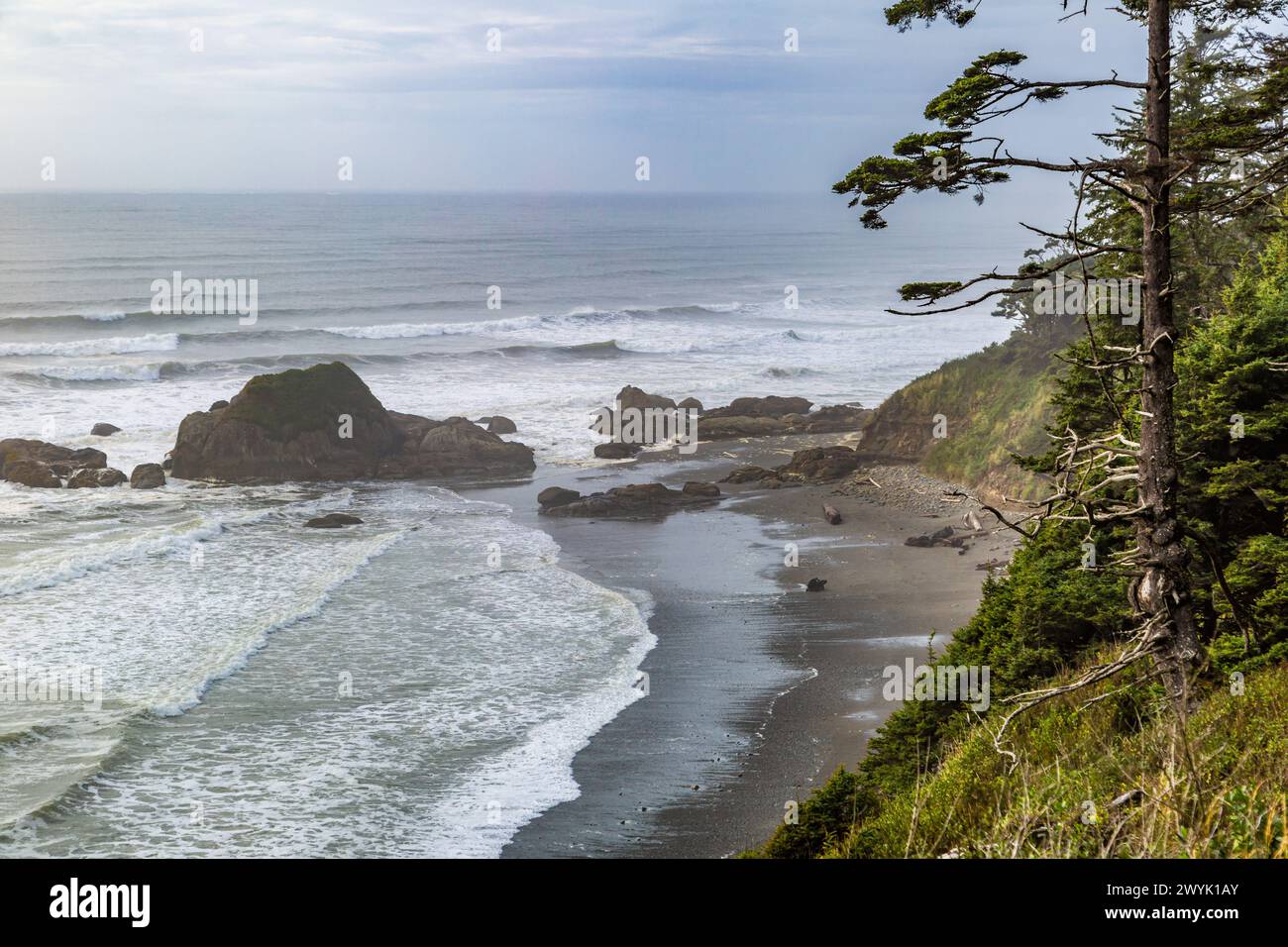 Large rock seastacks at Ruby Beach in the Olympic National Park near ...