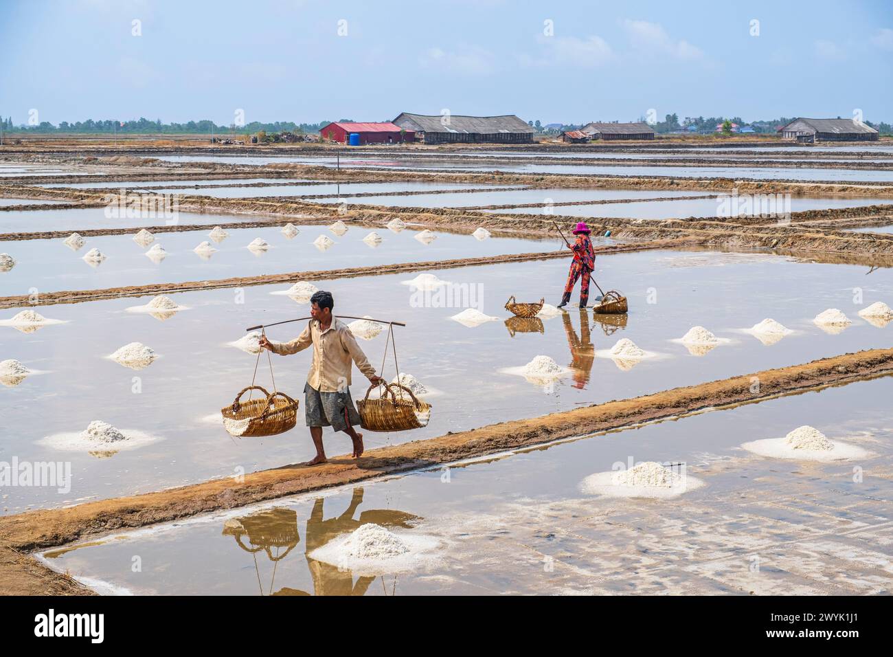 Cambodia, Kampot province, Kampot, salt marshes, salt harvest Stock ...