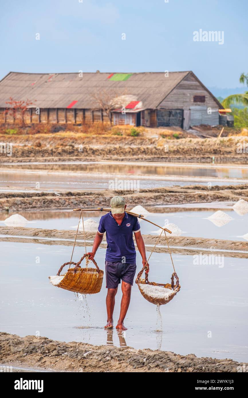Cambodia, Kampot province, Kampot, salt marshes, salt harvest Stock ...