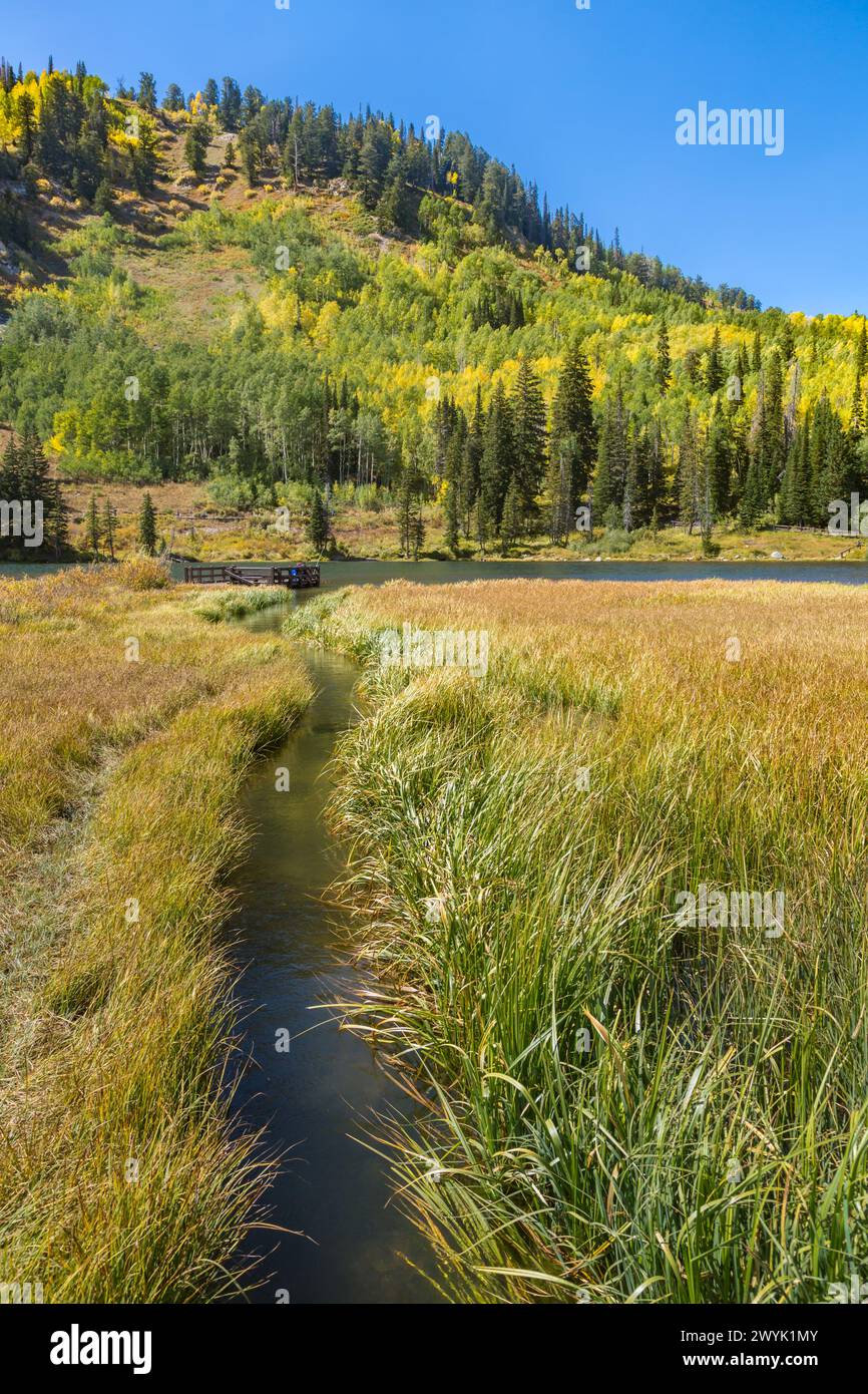 Stream running through grassy wetlands to Silver Lake in Big Cottonwood ...
