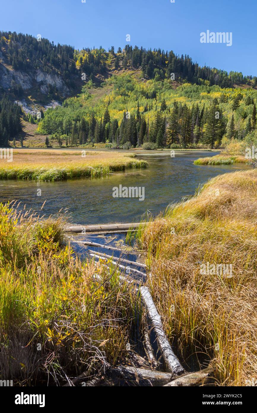 Streams from the Wasatch Mountains flowing into Silver Lake in Big ...