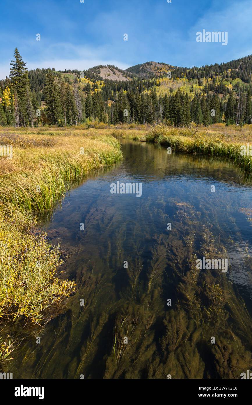Streams from the Wasatch Mountains flowing into Silver Lake in Big ...