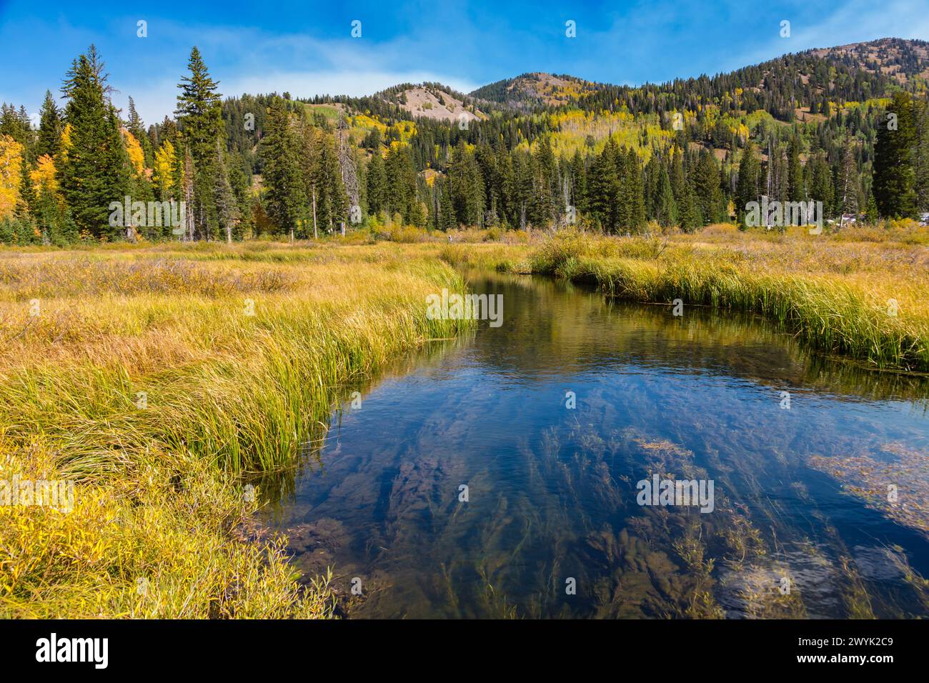 Streams from the Wasatch Mountains flowing into Silver Lake in Big ...