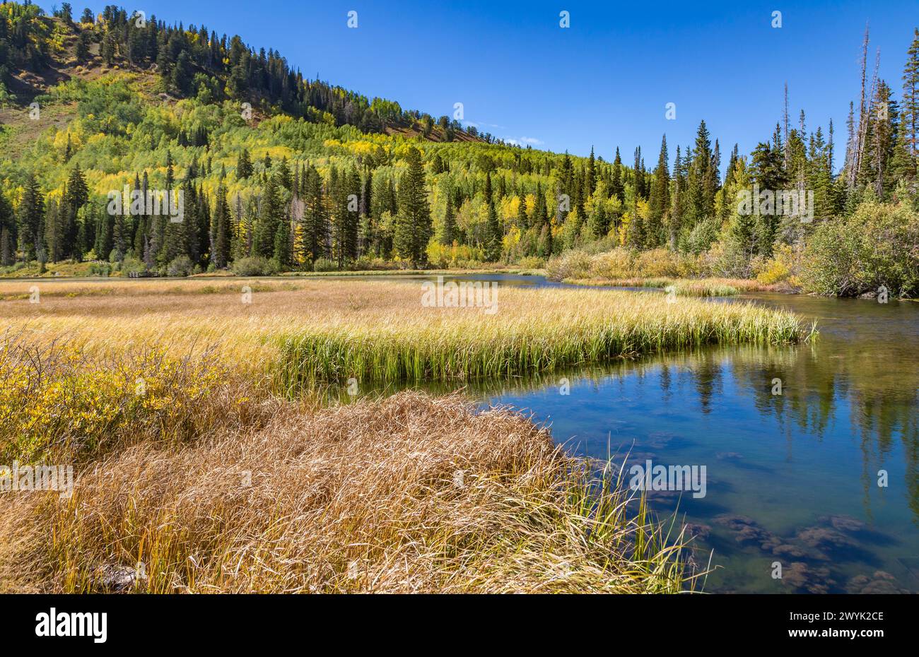 Streams from the Wasatch Mountains flowing into Silver Lake in Big ...