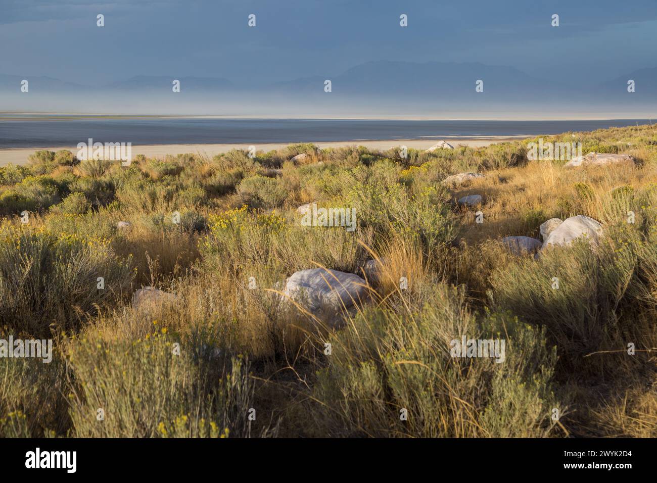 Boulders in the prairie grasslands along the shoreline of Great Salt ...