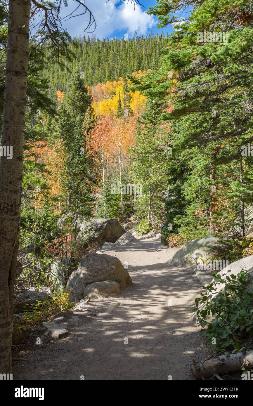 Bear Lake Nature Trail takes hikers past Evergreen forest with colordul ...