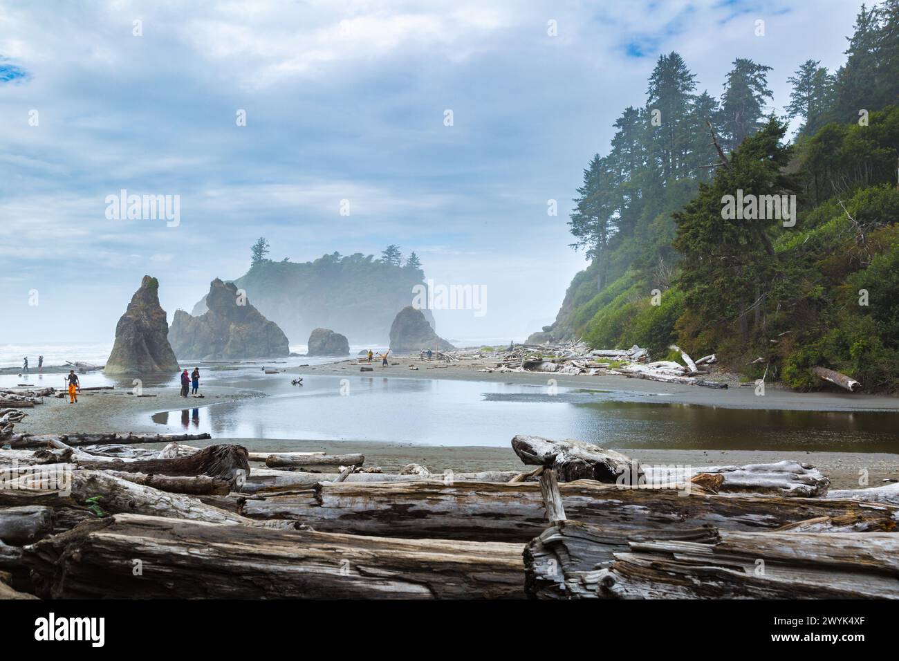 Visitors walk amoung the driftwood, tide pools and seastacks at Ruby ...