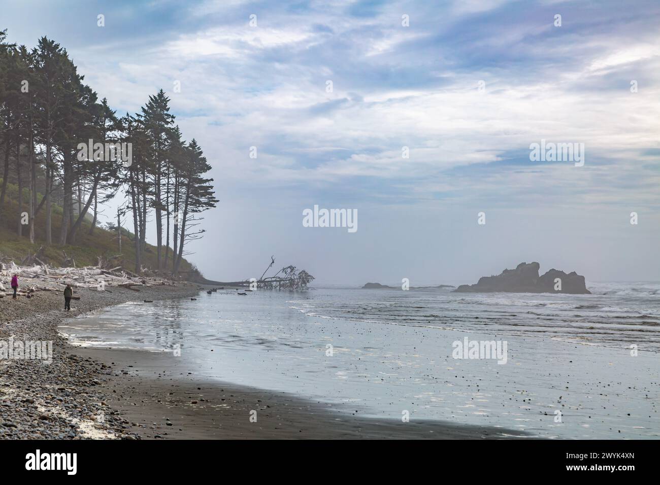 Rock formations off the Pacific coast at Ruby Beach in the Olympic ...