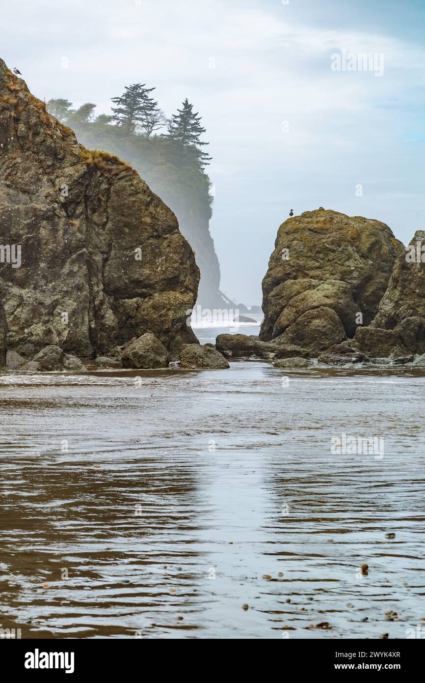 Large rock seastacks at Ruby Beach in the Olympic National Park near ...