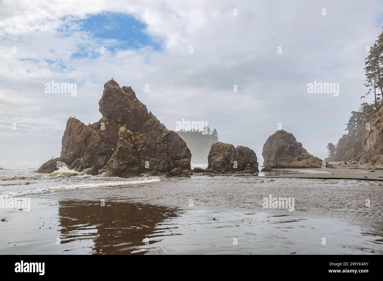 Large rock seastacks at Ruby Beach in the Olympic National Park near ...