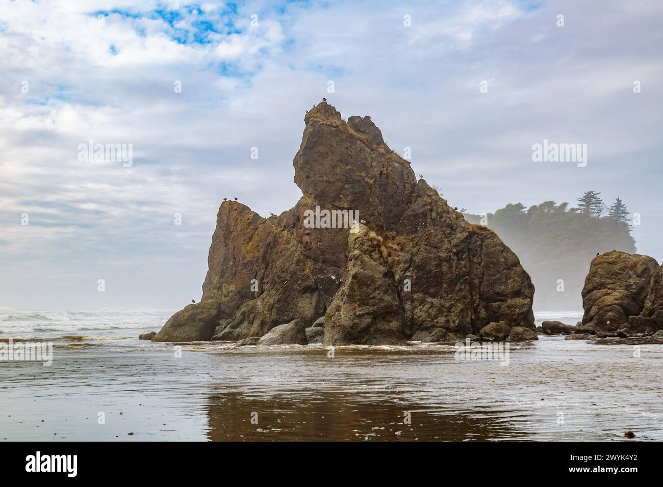 Large rock seastacks at Ruby Beach in the Olympic National Park near ...