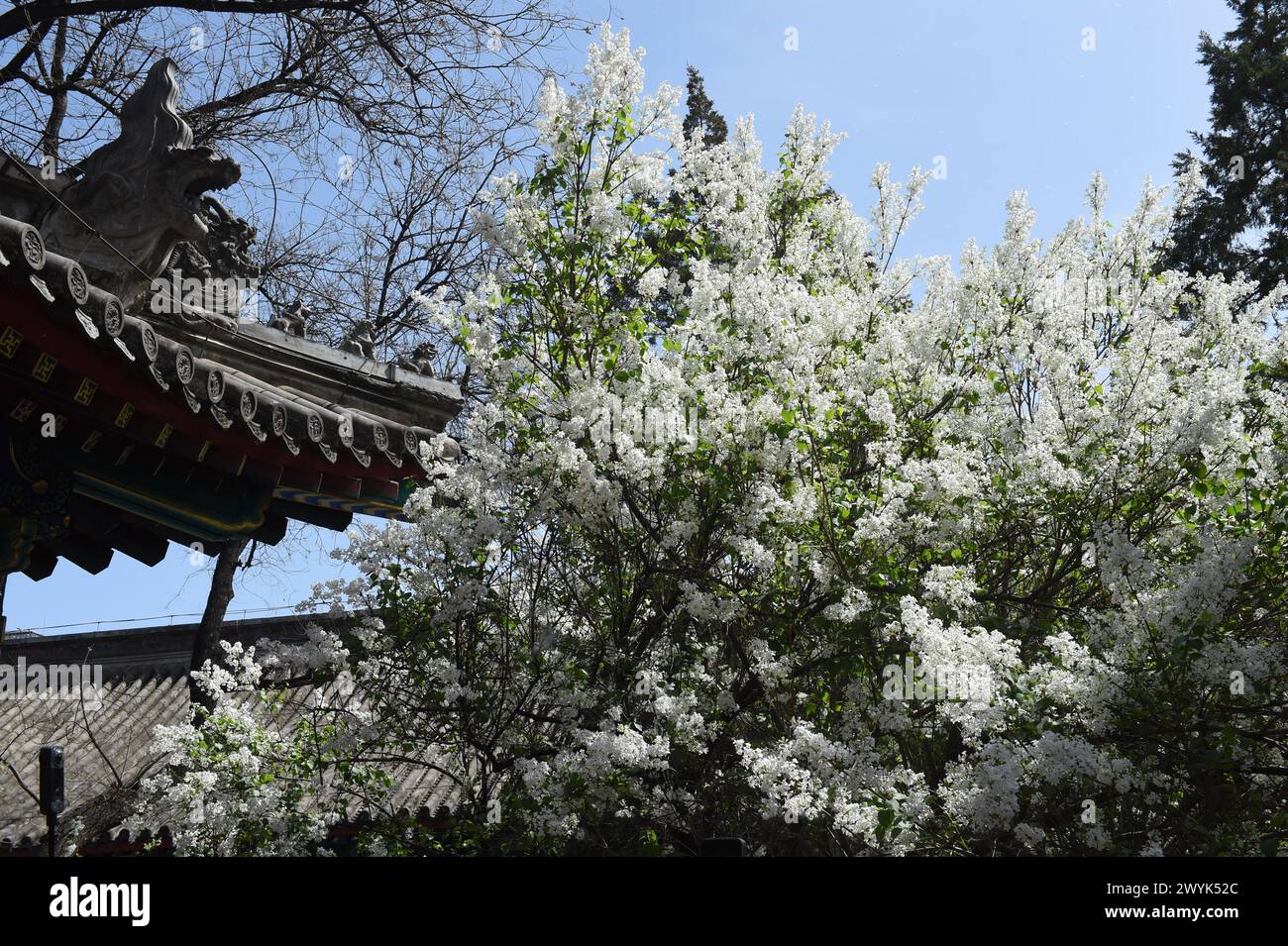 Taken on the 7th of april 2024 hi-res stock photography and images - Alamy