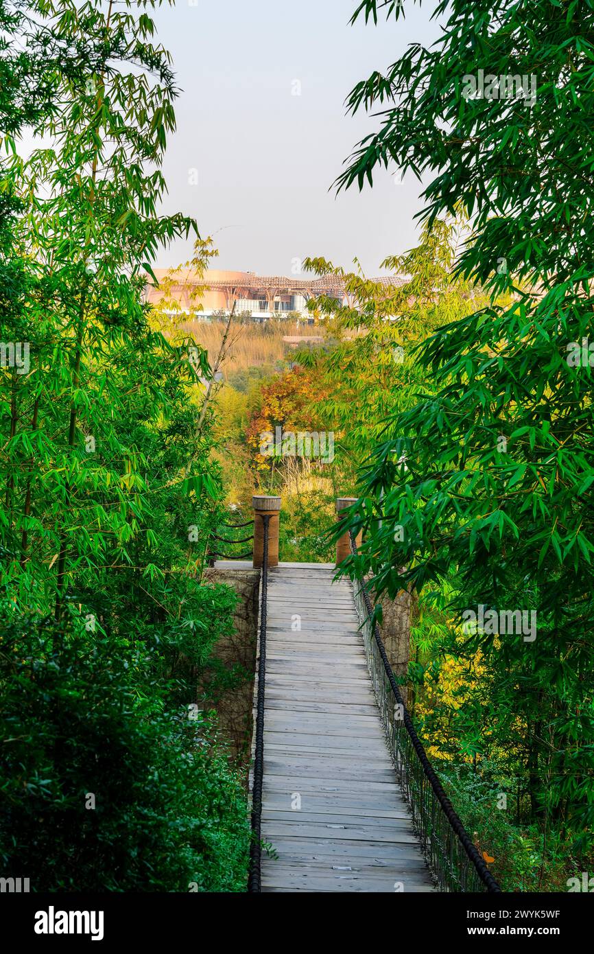 Park and Bamboo in Chengdu, China Stock Photo - Alamy