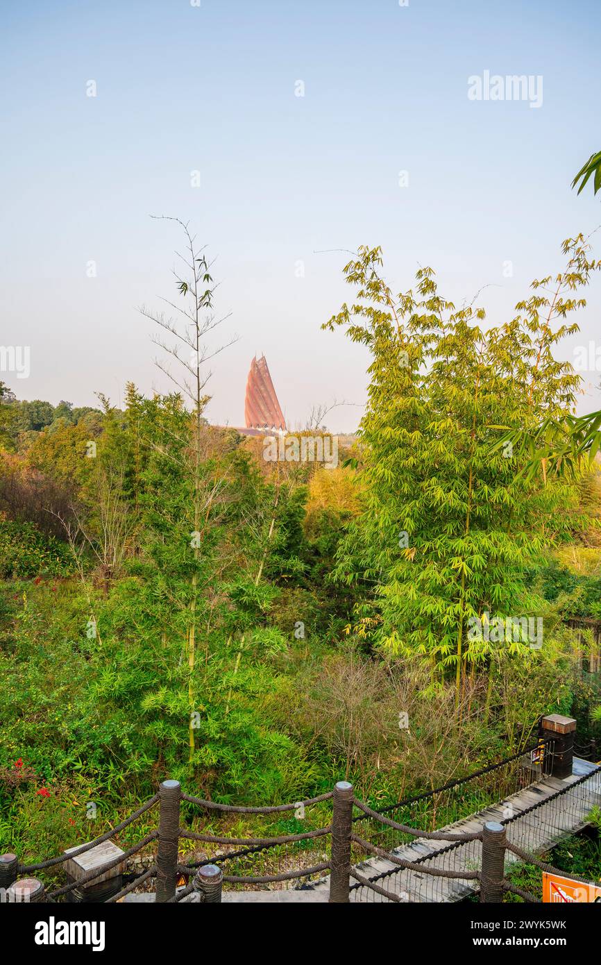 Park and Bamboo in Chengdu, China Stock Photo - Alamy