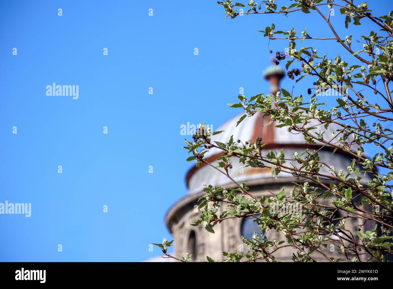 Church trees leaf branches hi-res stock photography and images - Alamy