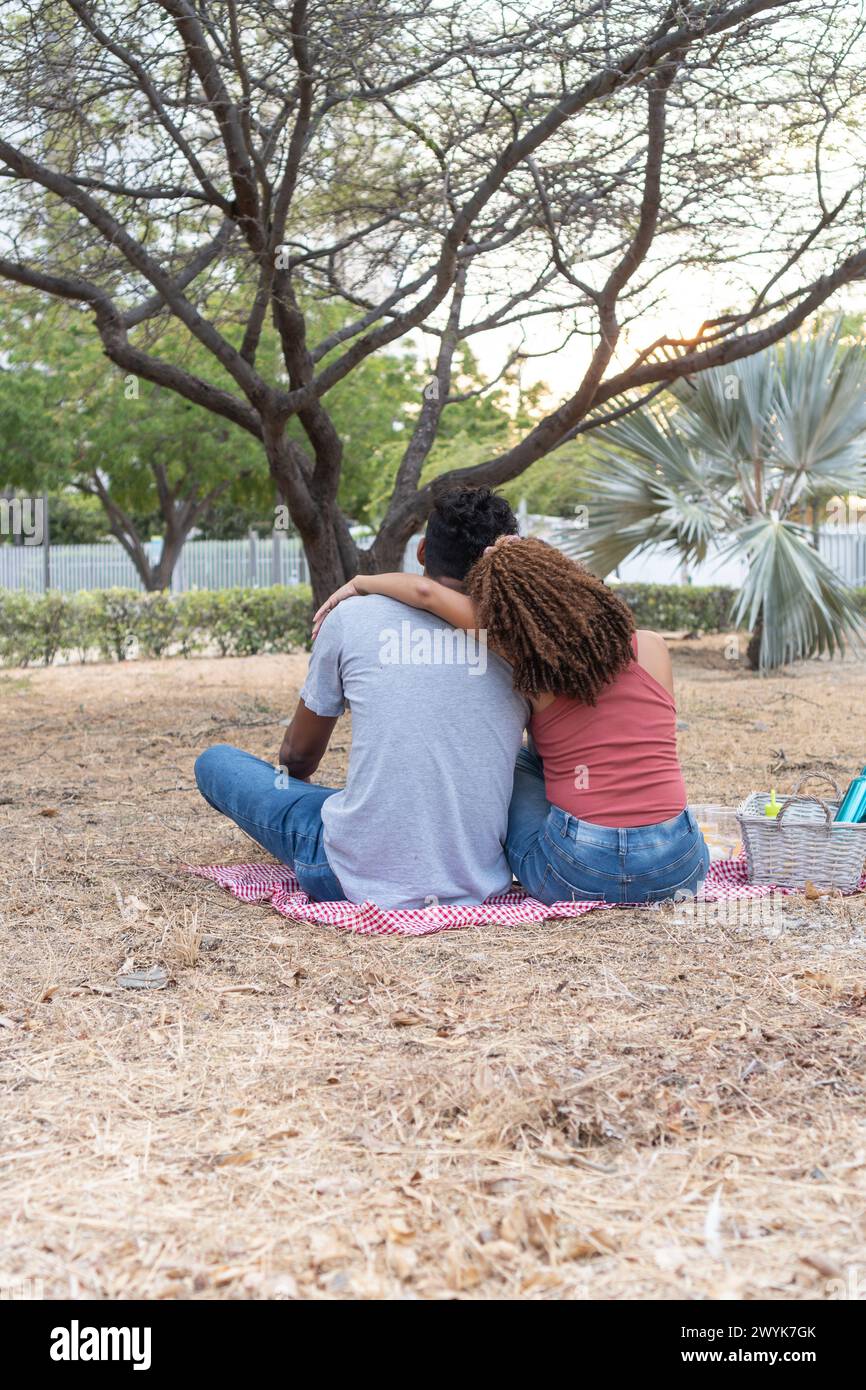Back view of a couple in an embrace, enjoying a picnic at dusk Stock ...