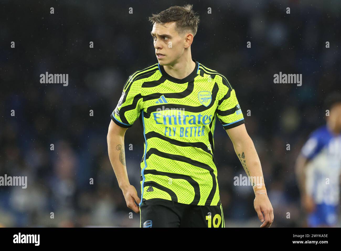 Leandro trossard football hi-res stock photography and images - Alamy