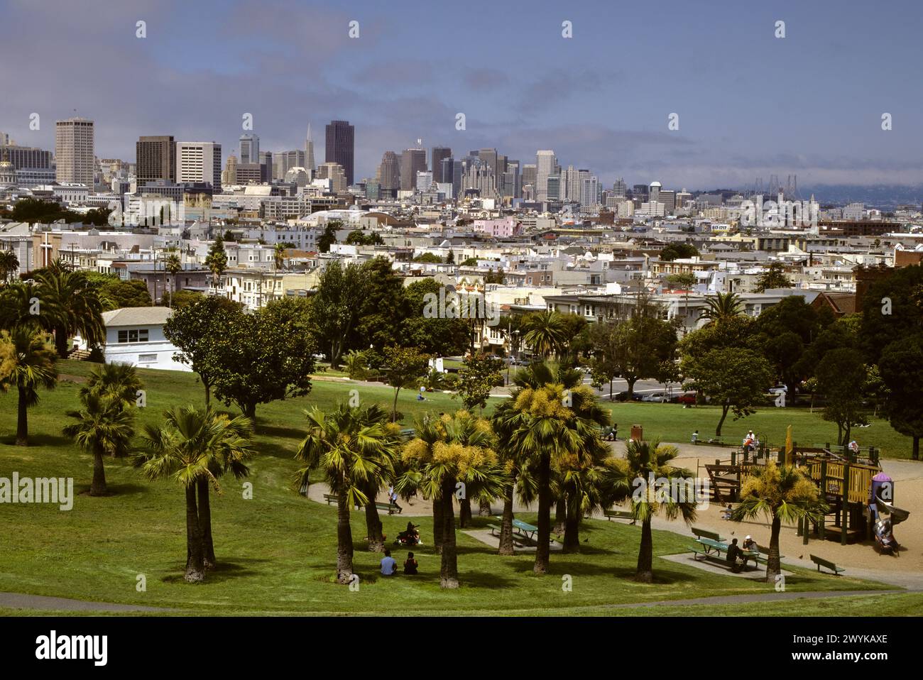 San Francisco, California - Cityscape from Mission Delores Park. City ...