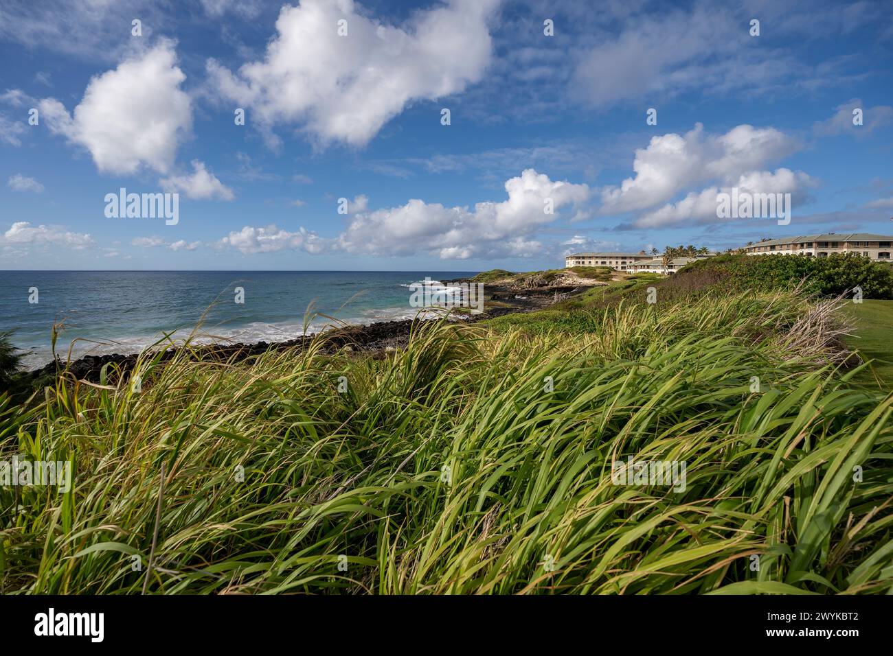 Warm sunshine and cool Pacific Ocean breezes along Shipwreck Beach and ...